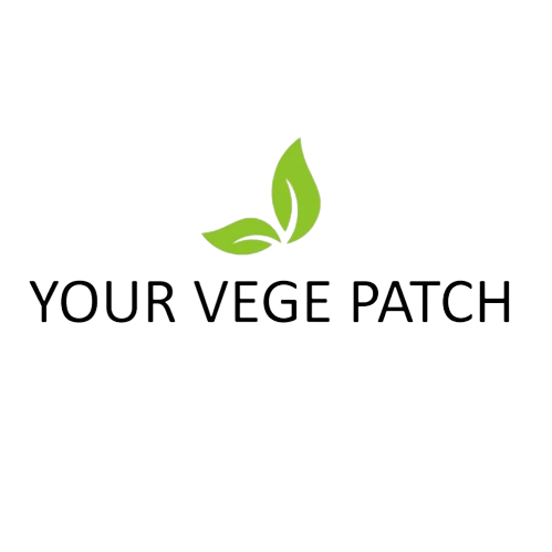 The Patch Blog - Growing Advice and Articles for YourVegePatch