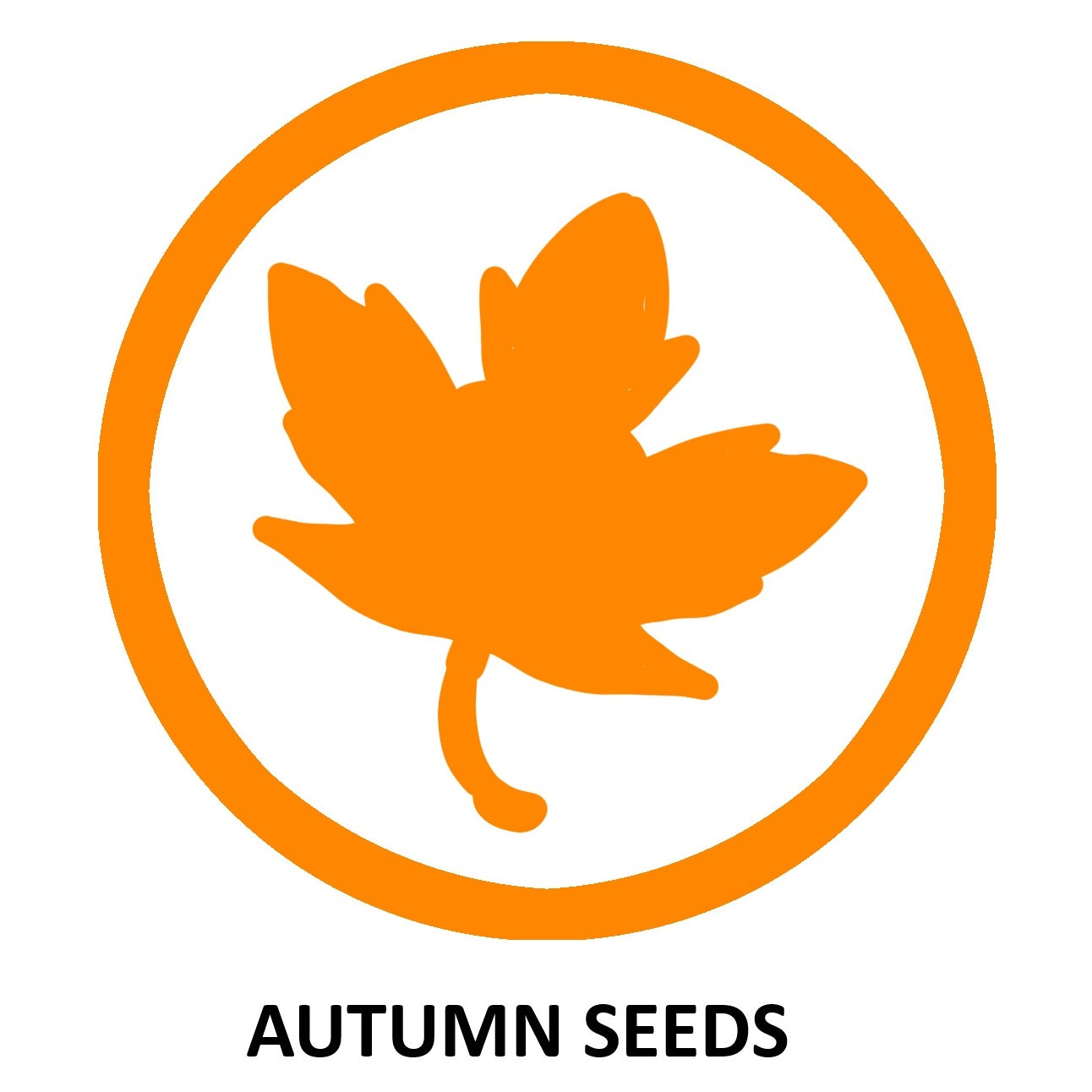 Autumn Seeds - Seasonal Vegetable Planting - Certified Organic Seeds ...